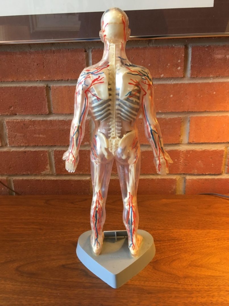 Invisible Man Model - What The Vintage
